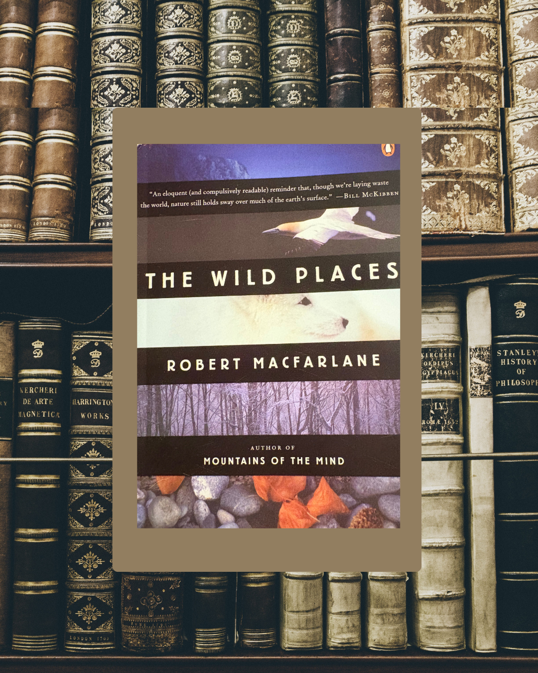 Book Review: The Wild Places – The Emporium of Forgotten Threads